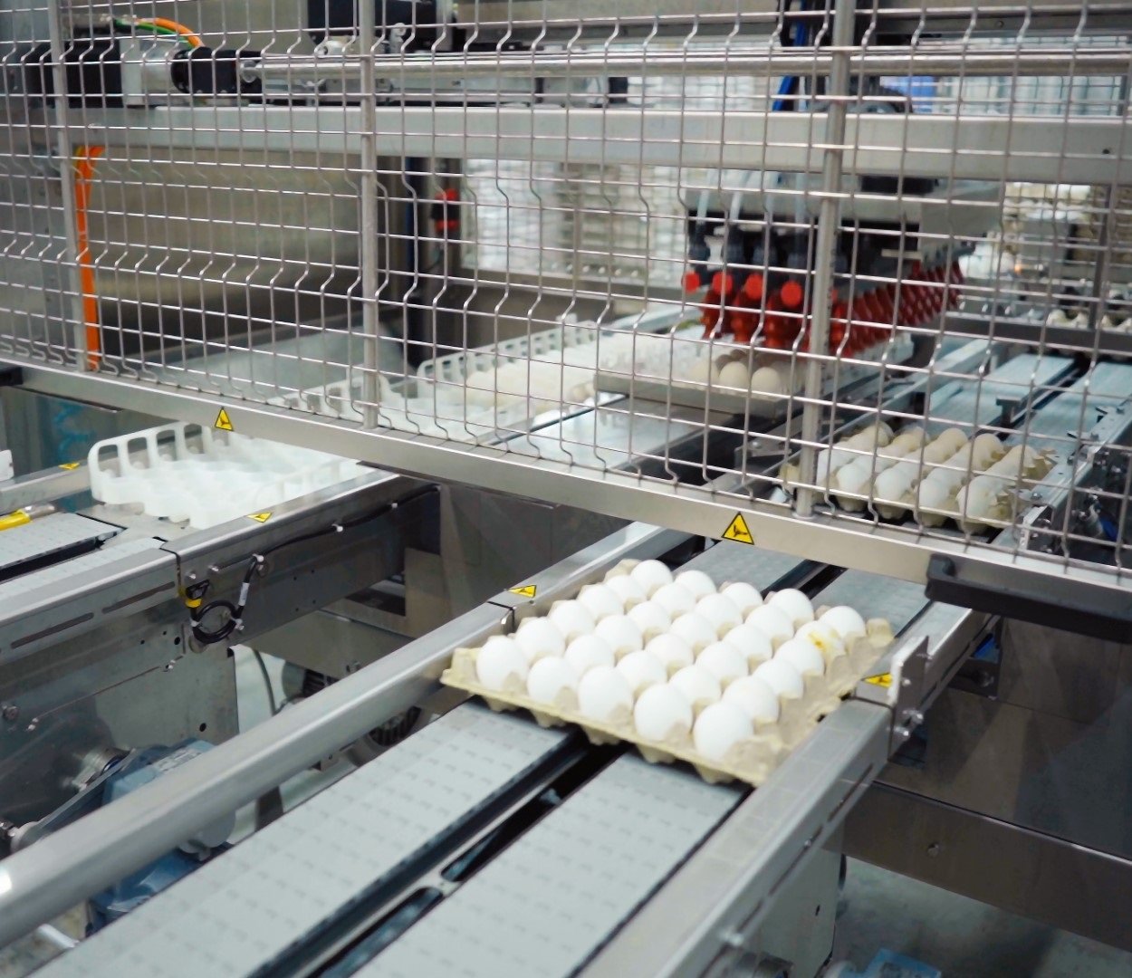 Tray to tray transfer - Vencomatic Group